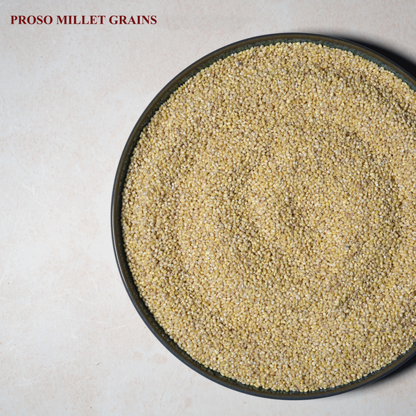 Proso Millet (500g) – Pradhana Organic Food Products LLP